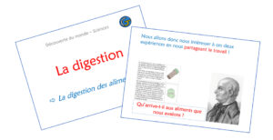 La digestion - Chez Monsieur Paul