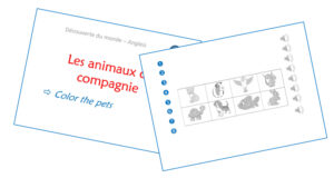 Les animaux de compagnie - Chez Monsieur Paul