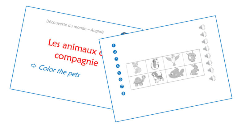 Les animaux de compagnie - Chez Monsieur Paul