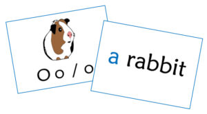 Les animaux de compagnie - Chez Monsieur Paul