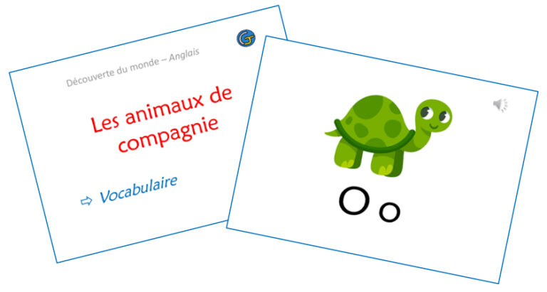 Les animaux de compagnie - Chez Monsieur Paul