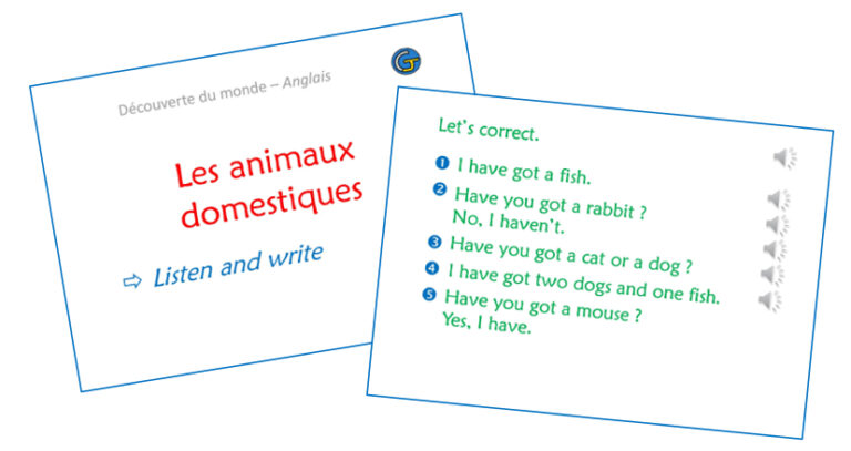 Les animaux de compagnie - Chez Monsieur Paul