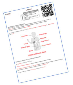 La digestion - Chez Monsieur Paul