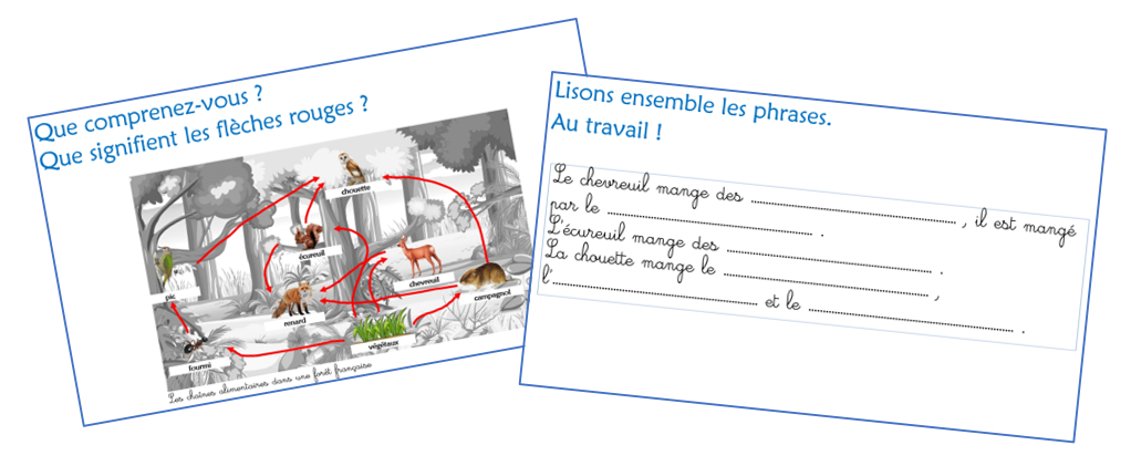 Les chaînes alimentaires (CE1) - Chez Monsieur Paul