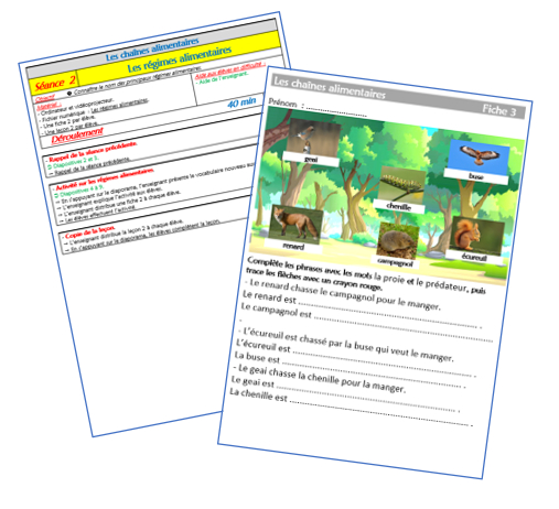 Les chaînes alimentaires (CE1) - Chez Monsieur Paul