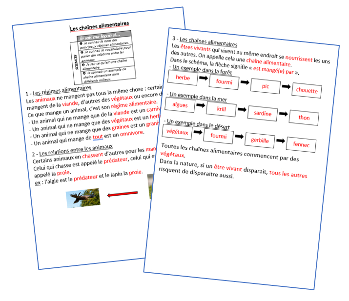 Les chaînes alimentaires (CE1) - Chez Monsieur Paul